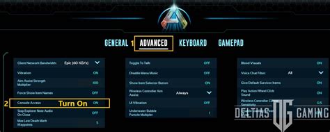How To Activate The Console Commands Menu Ark Survival Ascended
