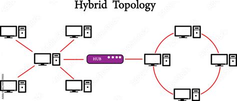 Diagram Showing The Hybride Network Topology The Placement Of Computers In A Network Vector