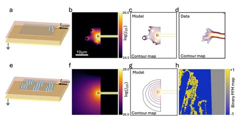Finite Element Modelling A Schematic Of The Finite Element Model Download Scientific Diagram