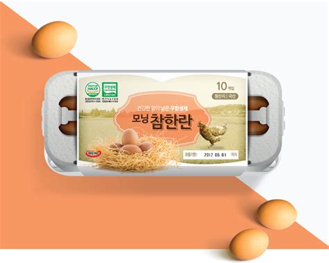 신선한 느낌을 주는 계란 패키지 디자인