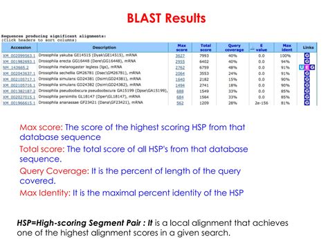 Sequence Alignment Tool And Definitionss Ppt