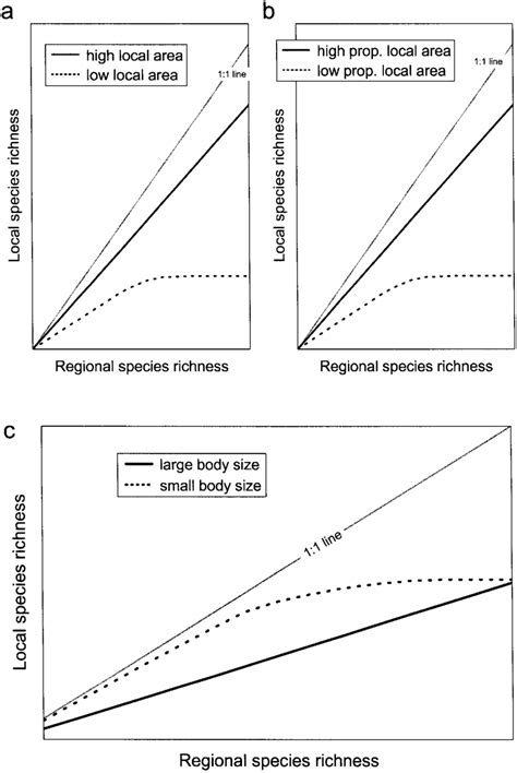 Predicted Effects Of Local Area A The Proportion Of Local To Download Scientific Diagram