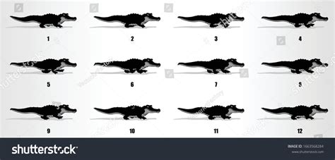 crocodile walk cycle animation frames loop 库存矢量图（免版税）1663568284
