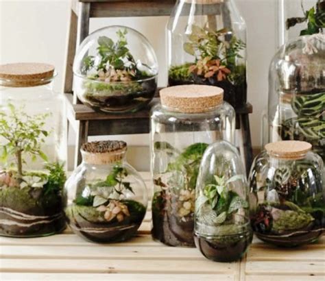 이끼 테라리움 만들기 실내에서 이끼 키우기 비바리움 차이 네이버 블로그