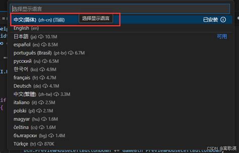 vs code显示左边（右边）工具栏，显示隐藏的全局搜索，汉化等插件安装 vscode搜索框怎么设置到左边 csdn博客