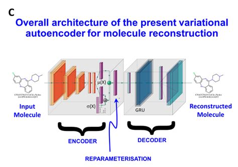 Vae Sim A Novel Molecular Similarity Measure Based On A Variational