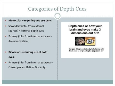 Binocular Cues For Depth Perception