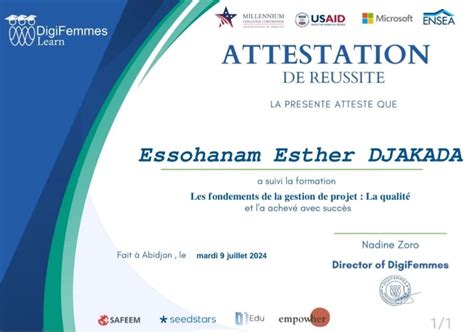 essohanam esther djakada sur linkedin diemmeslearn diemmes