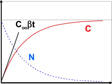 Schematic Behavior Of N And C As A Function Of Time And Their Relation Download Scientific