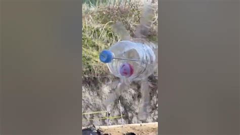 고라니 멧돼지 퇴치기 특허내야할듯 Youtube