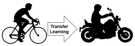 perceptive example about transfer learning download scientific diagram