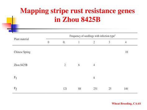 Ppt Stripe Rust Resistance In Chinese Wheat Cultivars Powerpoint Presentation Id4851294