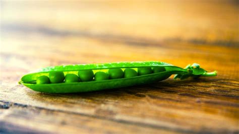 time for a pod structure at your agency