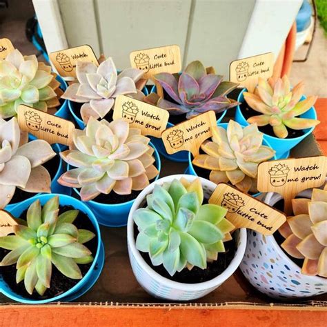 Roblox Noob Svg Etsy