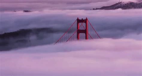 San Francisco S Tenor