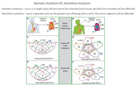 科学网— 转载 经验分享gatk4 Mutect2与 Gatk3 Mutect2的应用区别 马云龙的博文