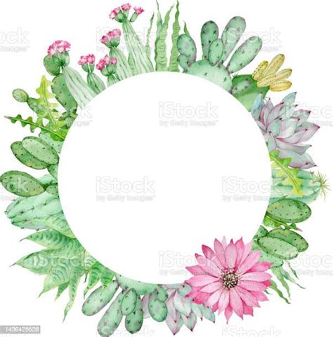 수채화 손으로 그린 선인장의 원형 프레임과 꽃 고립 된 물체 식물 프레임 0명에 대한 스톡 벡터 아트 및 기타 이미지 0명 가능성 가시 Istock