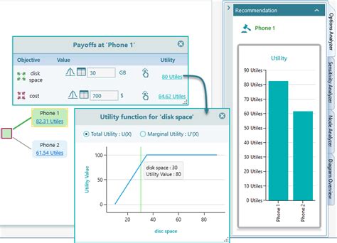 incorporating utility function in decision making process