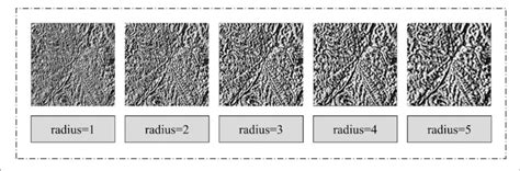 Texture Feature Map Extracted From The Same Image After Selecting