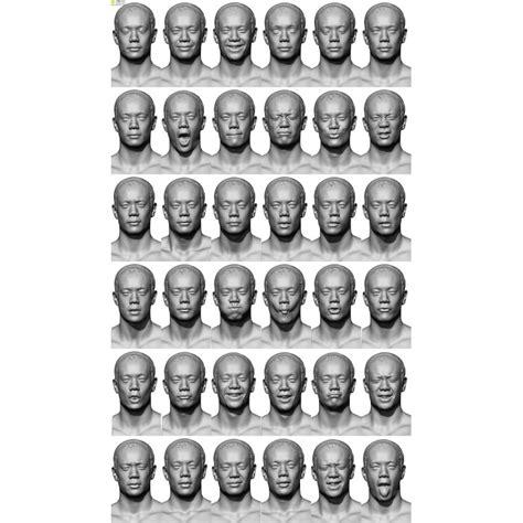 Male 04 38 X Expression Scan Bundle