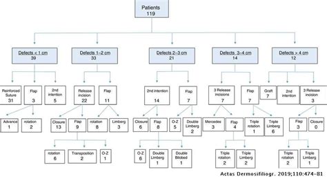 Reconstruction Of Moderate Sized Scalp Defects A 123 Rule Actas