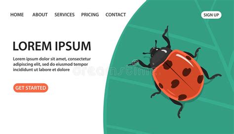 Red Beetle Ladybug On A Green Leaf Stock Vector Illustration Of