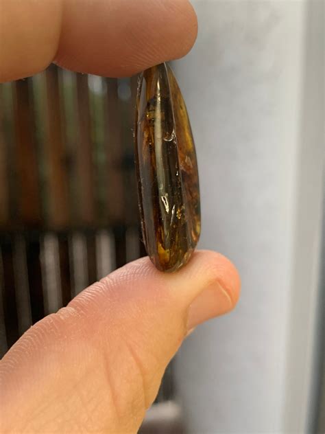 Polished Amber Fossilized Tree Sap Chiapas Mexico Mineral Specimen Etsy