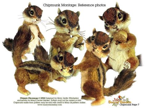 Chipmunk Sewing Pattern Chipmunk Pdf Diy Chipmunk Pattern Etsy