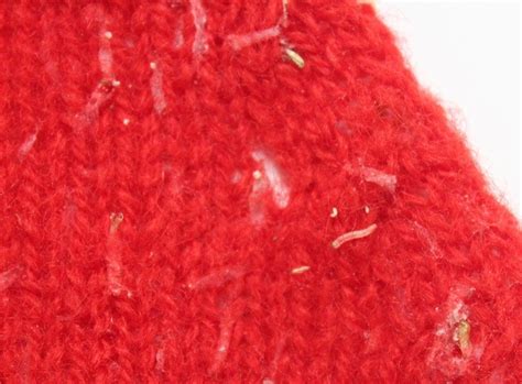 Identifying Clothes Moth Damage And Frass