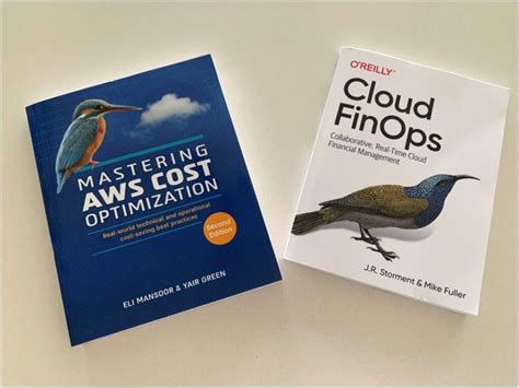 My FinOps X Experience