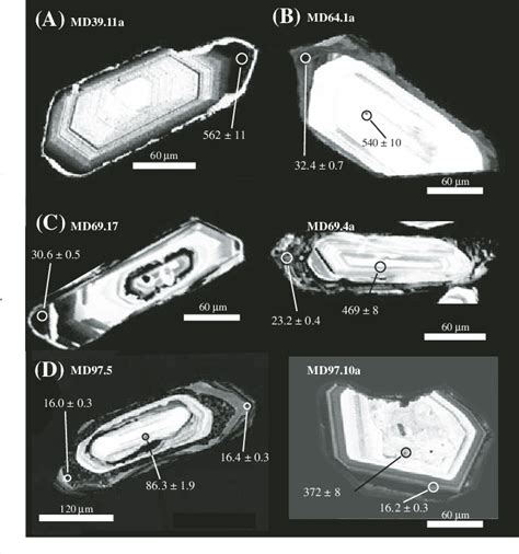 Figure 3 From Onset Of Mid Crustal Extensional Flow In Southern Tibet Evidence From U Pb Zircon