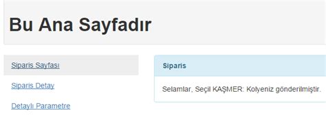 angularjs de routing ve template bazıları hayal eder bazıları yapar
