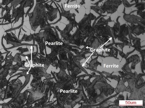 Optical Microstructure Of The Grey Cast Iron Substrate Download