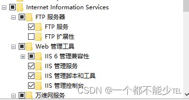 VS无法运行C web项目已解决根治问题 vs 调试web 打不开 CSDN博客