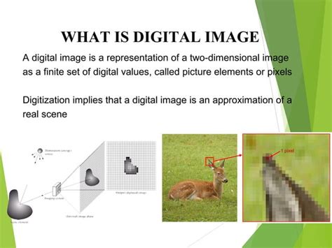 Digital Image Processing Dip Ppt Photo Editing Software