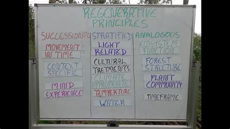 2 7 Syntropic Principles Regeneration Principles Succession Stratification And Analogy