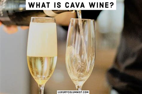 What Is Cava Wine A Detailed Guide To Spanish Sparkling Wine