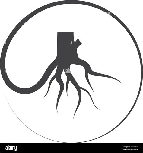 Tree Root Icon Vector Element Logo Design Stock Vector Image Art Alamy