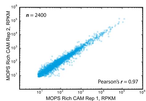 A Streamlined Ribosome Profiling Protocol For The Characterization Of Microorganisms Rna Seq Blog