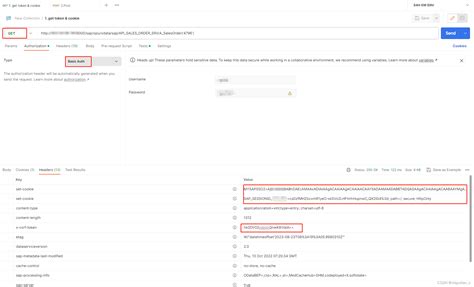 Postman解决csrf问题小技巧csrf验证失败 请求被中断 Postman Csdn博客