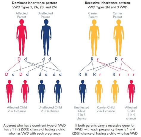 Von Willebrand Disease Elearning Platform