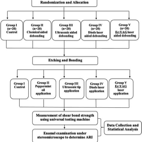 Flow Chart Summarizing The Applied Methodology Download Scientific