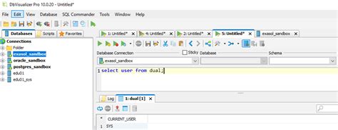Using Dbvisualizer To Work With Oracle Postgresql And Exasol