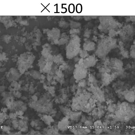 scanning election microscope sem photographs of cpp1 download