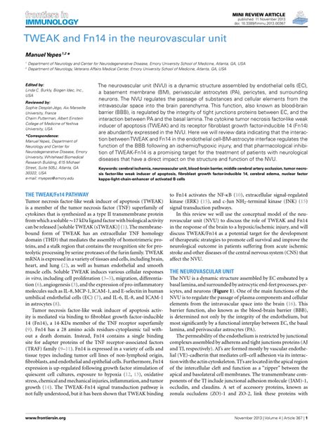 Pdf Tweak And Fn14 In The Neurovascular Unit