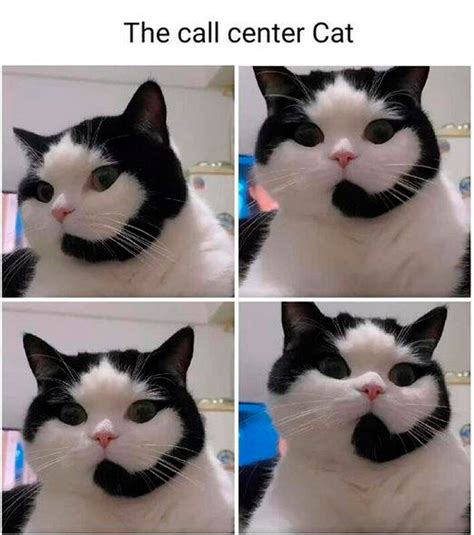 30 Of The Funniest Posts From The ‘it Humor And Memes Facebook Group