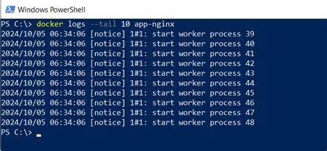How To View Docker Container Logs Shellgeek