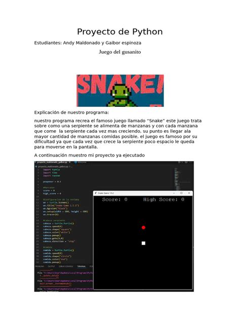 proyecto de python pdf