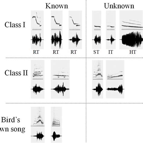 Examples Of Stimuli Used In The Experiment 20 Every Stimulus Set