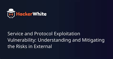 service and protocol exploitation vulnerability understanding